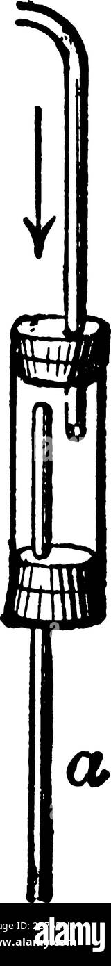 An image of Trap shown here, vintage line drawing or engraving ...