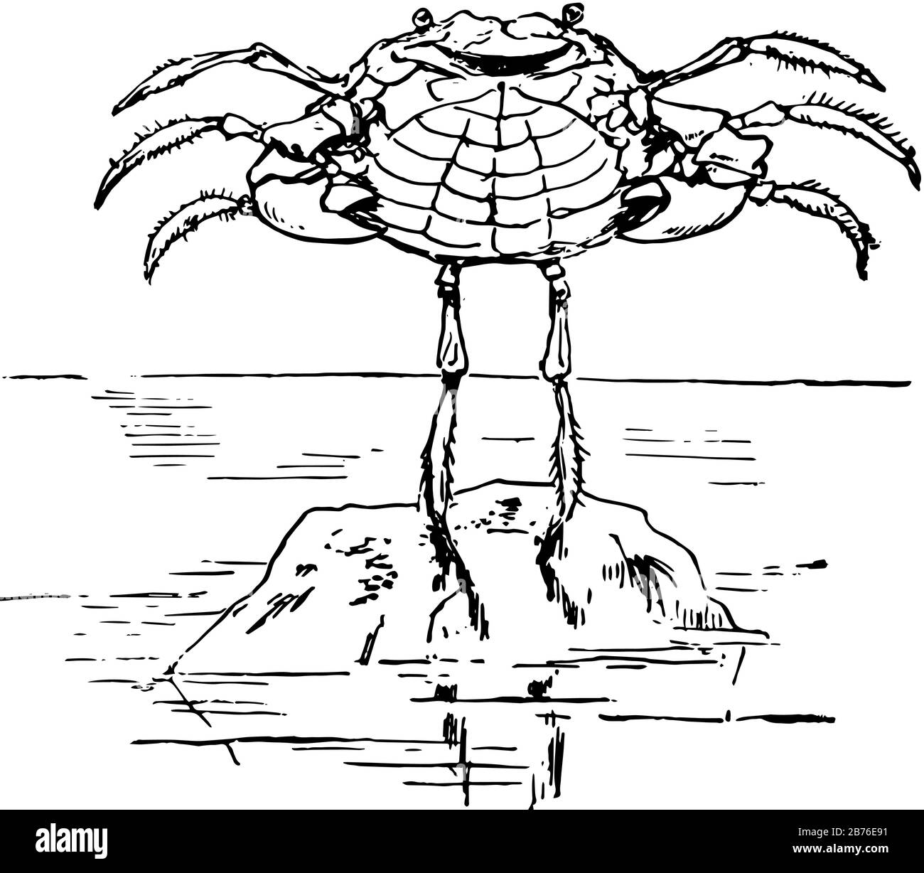 A crab dancing on a rock, this scene shows a crab dancing on a rock ...