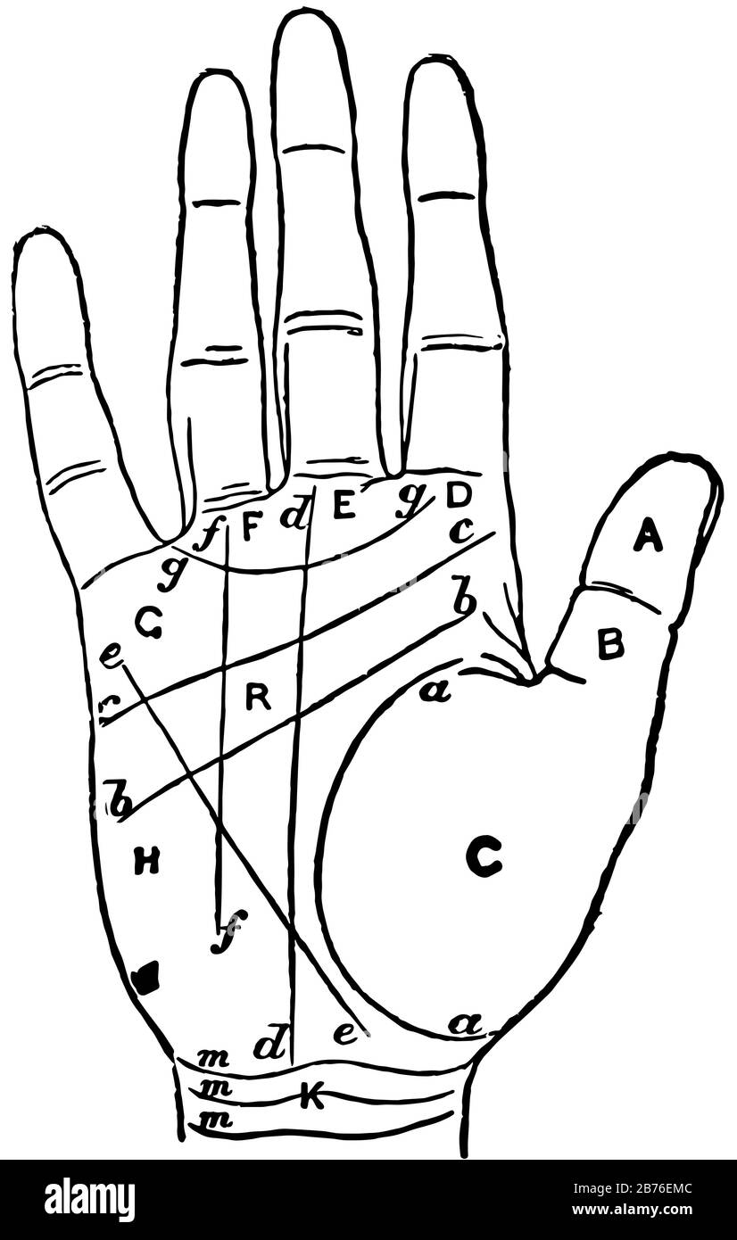 Palmistry is the art which professes to discover the temperament ...