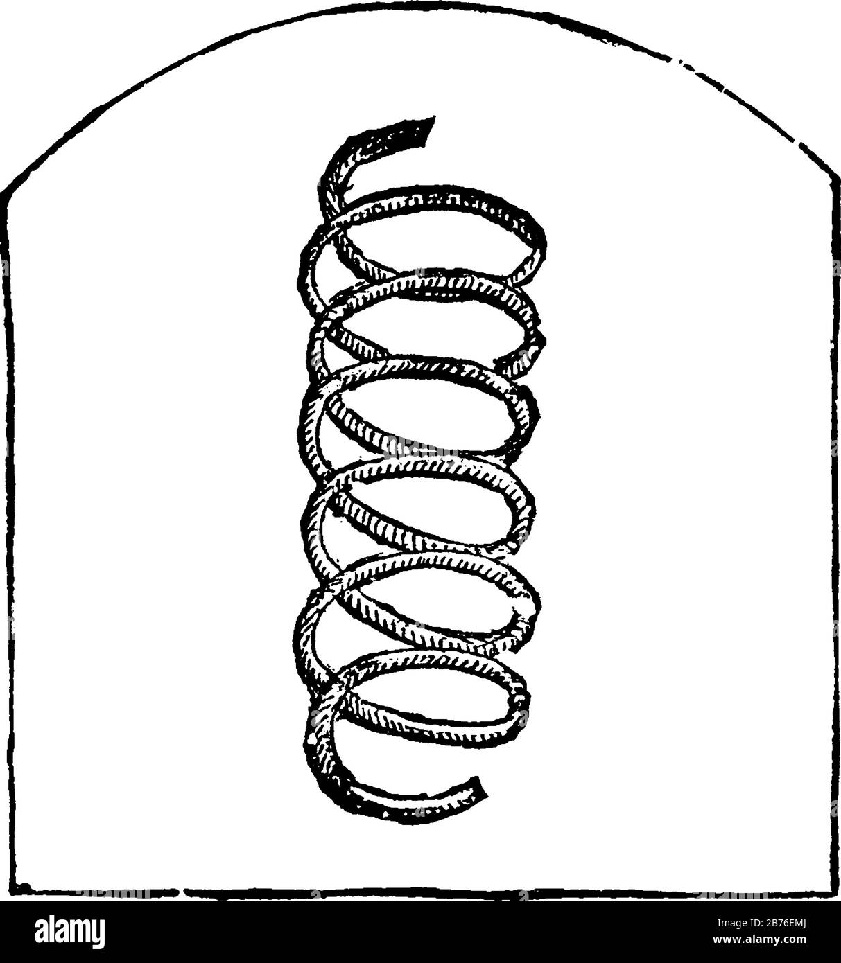 This illustration represents function of Spring, vintage line drawing ...