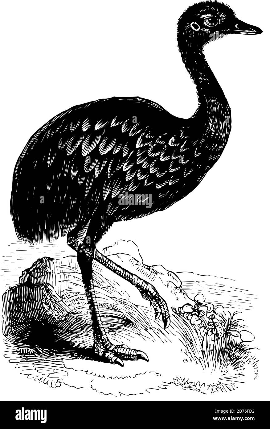 Pantagonia hi-res stock photography and images - Alamy