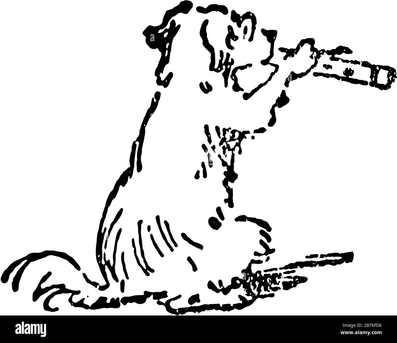 A dog playing flute, vintage line drawing or engraving illustration ...