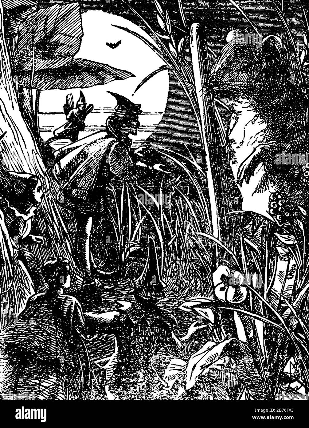 A rat with fairies in the forest, vintage line drawing or engraving ...