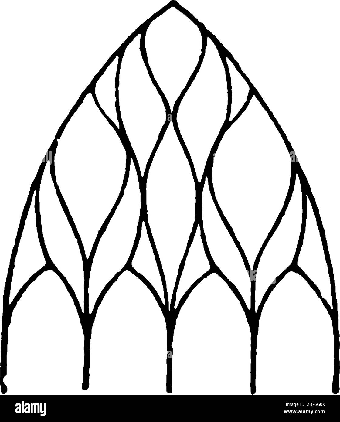 Tracery is the intersection in various forms, masons to draw designs in ...