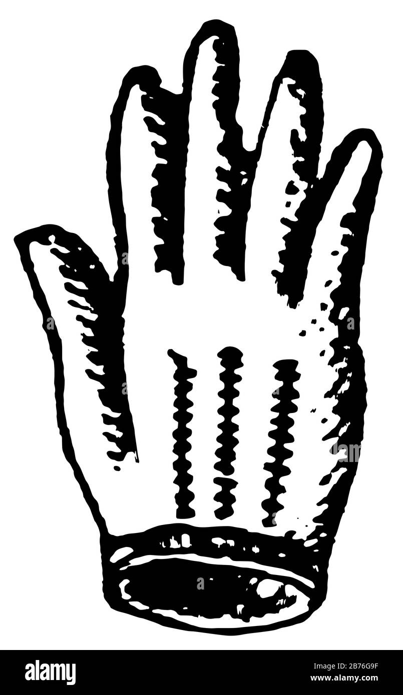 Glove a cover for the hand, vintage line drawing or engraving ...