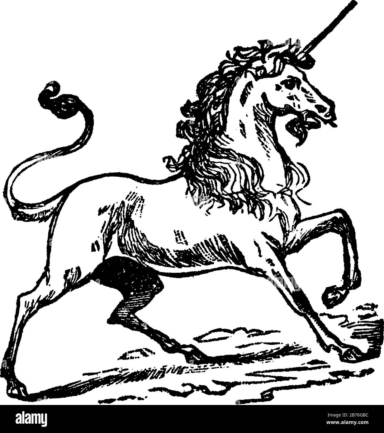 Unicorn animal facing right side, vintage line drawing or engraving ...