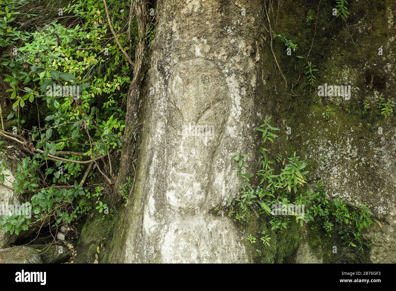 New Zealand coastline cliffs coromandel face in stone Stock Photo - Alamy