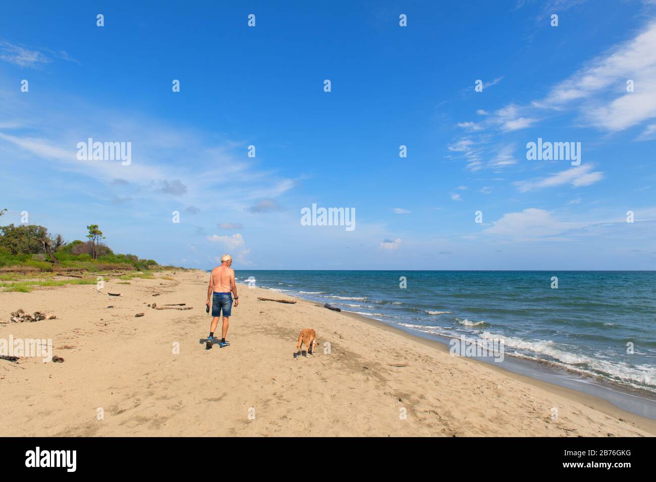Corsican dog hi-res stock photography and images - Alamy
