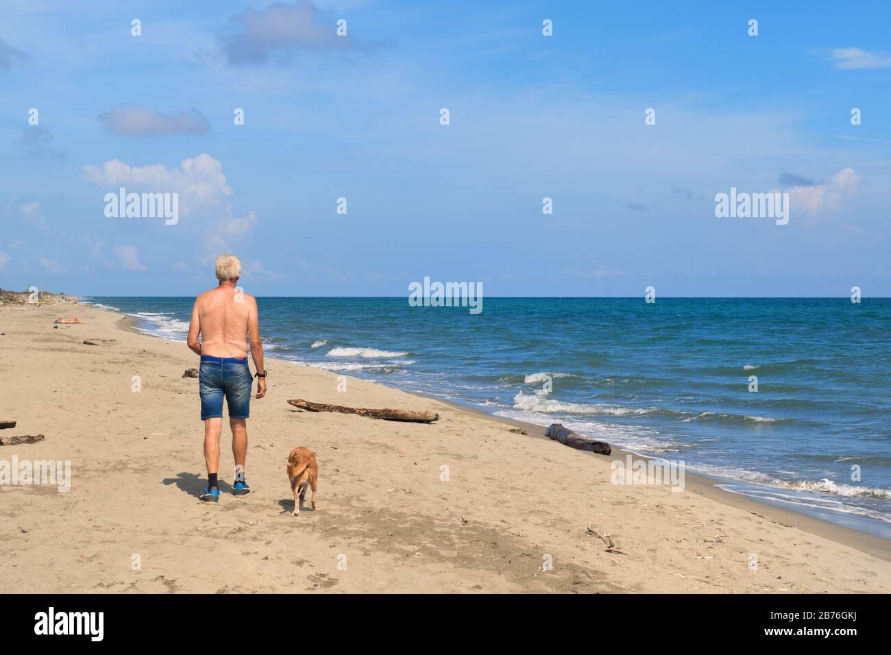 Corsican dog hi-res stock photography and images - Alamy