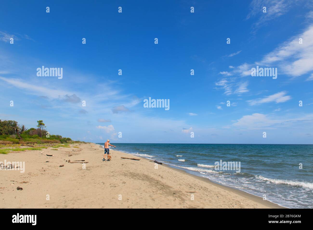 Corsican dog hi-res stock photography and images - Alamy