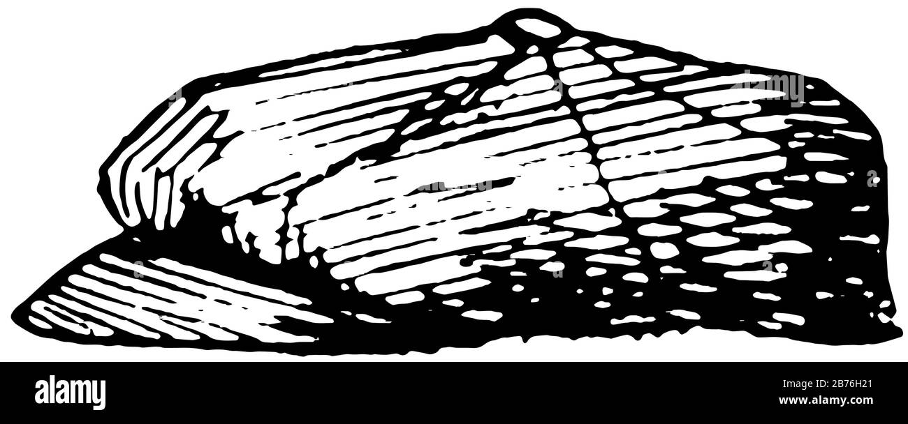 Cap have lining pattern, vintage line drawing or engraving illustration ...