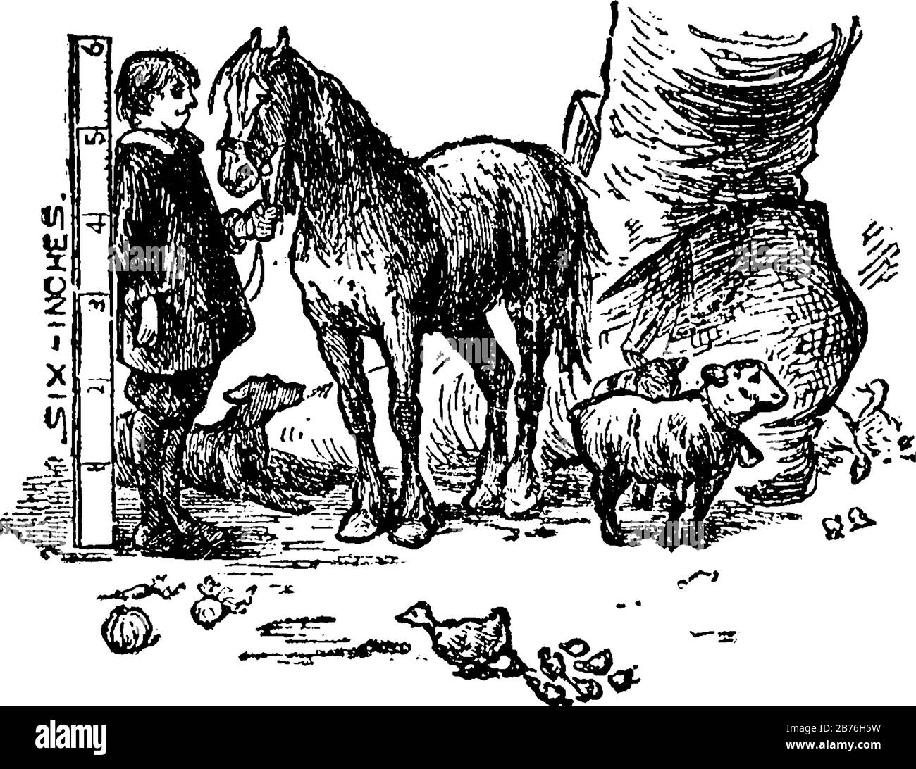 Six Inch Man and Horse, this scene shows a six inch man with animals ...