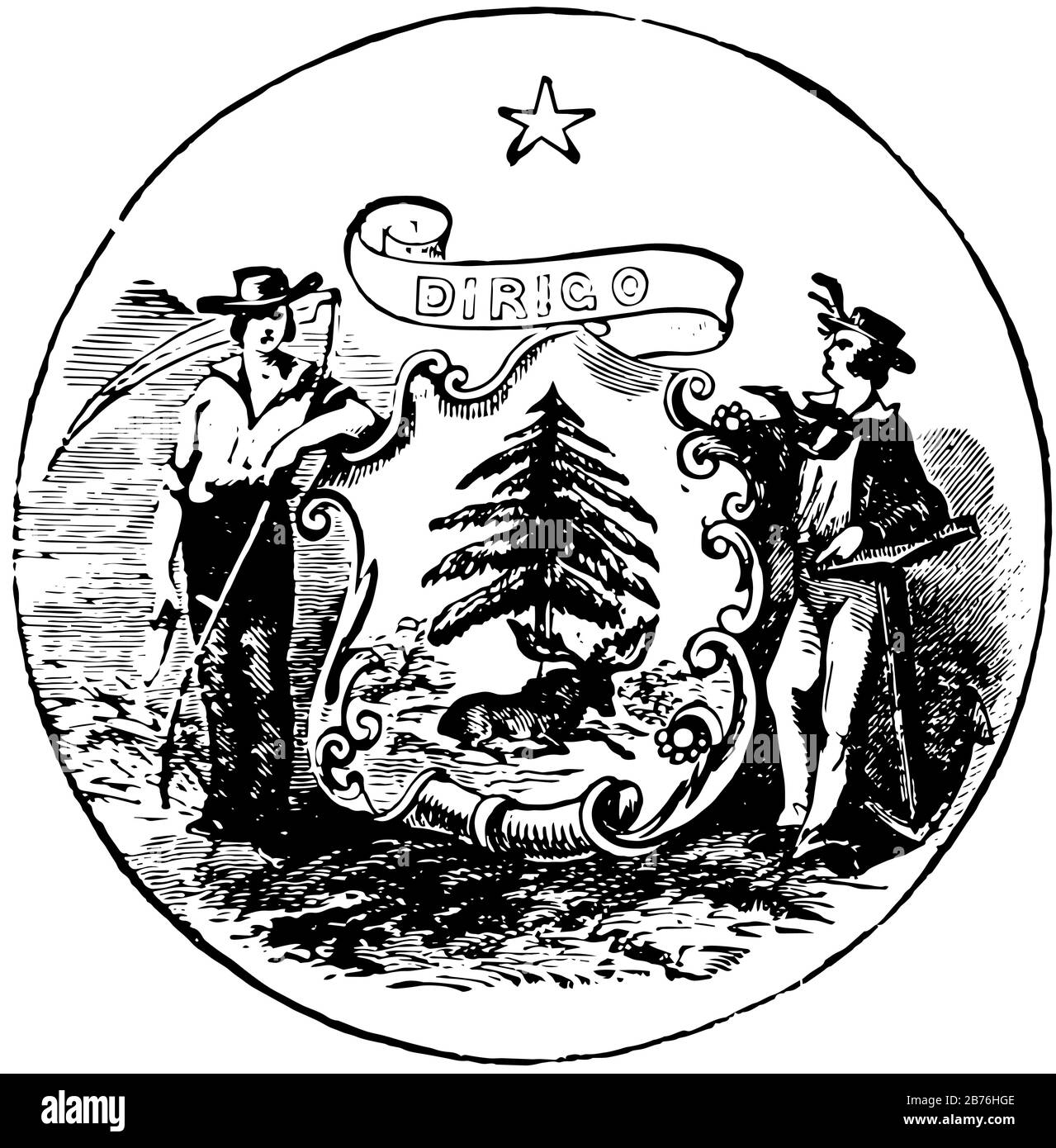 Pine one Stock Vector Images - Alamy