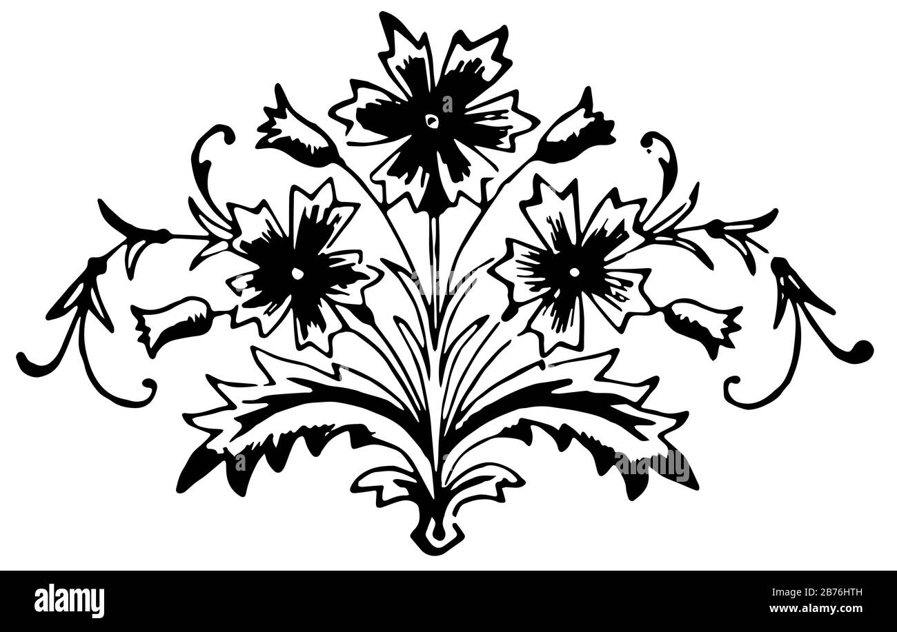 Floral motif is a decorative elements, vintage line drawing or ...