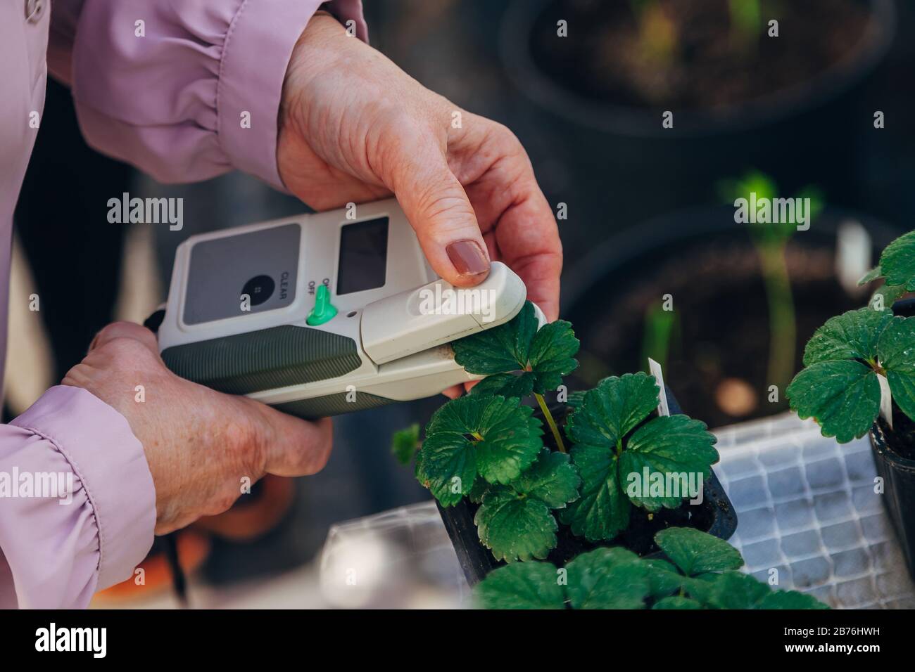 Modern portable device for measuring the chlorophyll and nitrogen ...