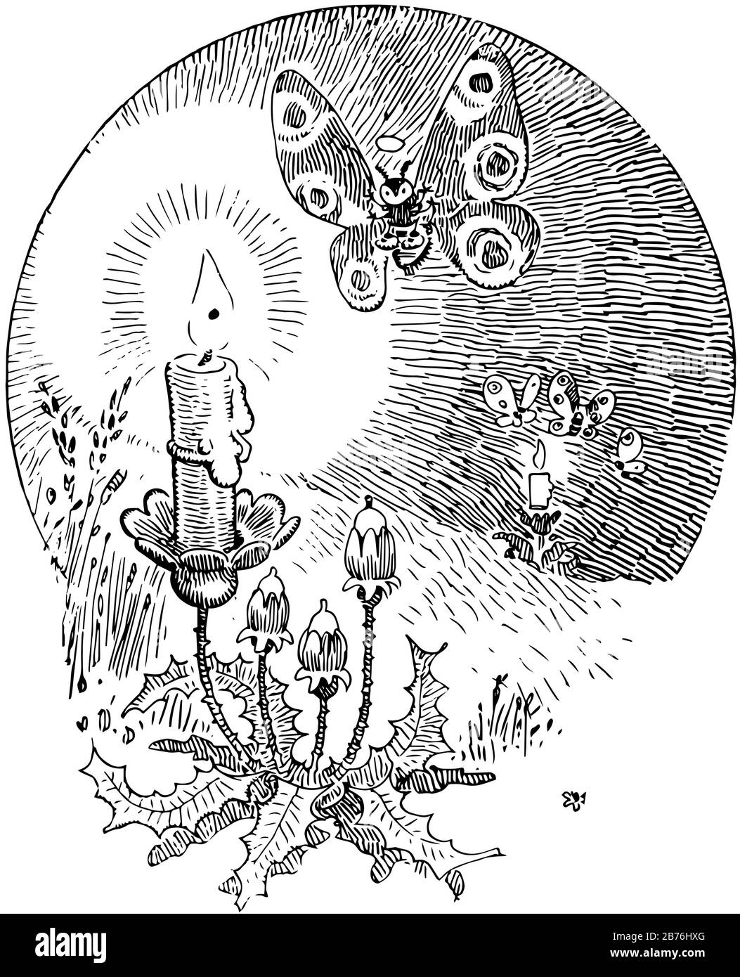 A moth being attracted to candle light, three moth near candle in background, vintage line ...