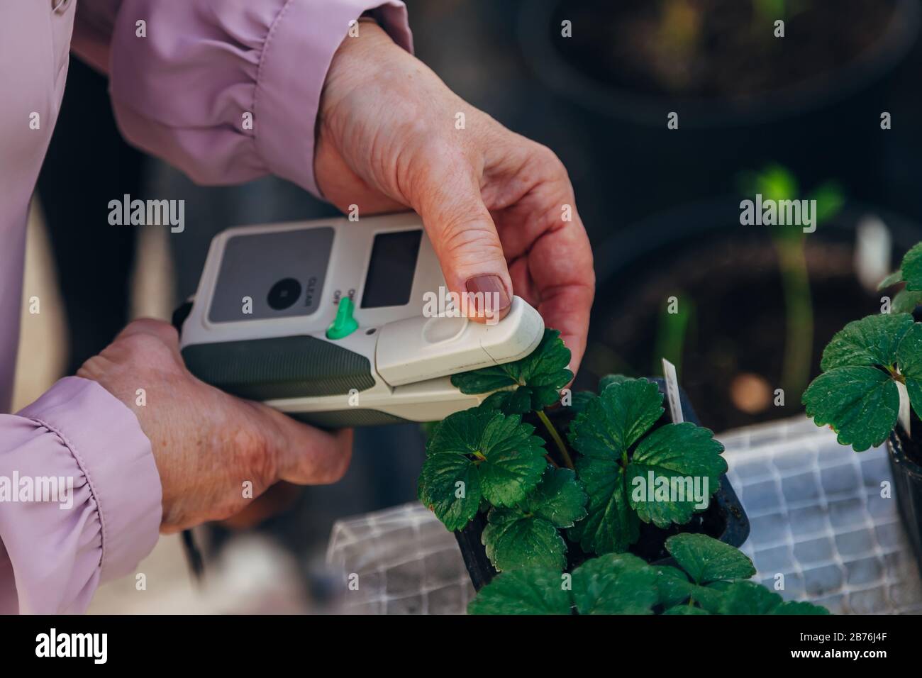 Modern portable device for measuring the chlorophyll and nitrogen ...