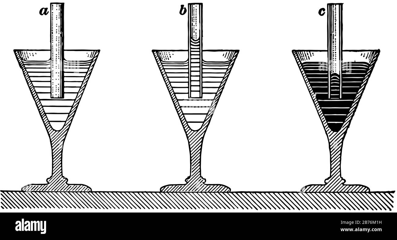 Capillary Attraction is shown here, vintage line drawing or engraving ...