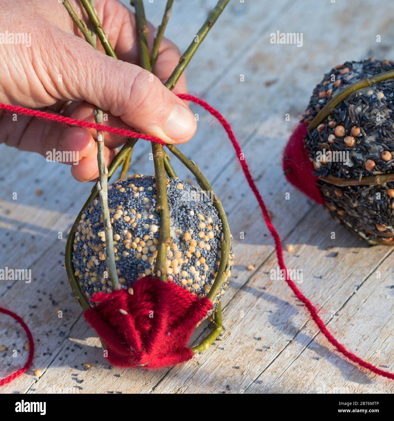 making a keeper vor a fat ball with willow twigs, wool and wire, series ...