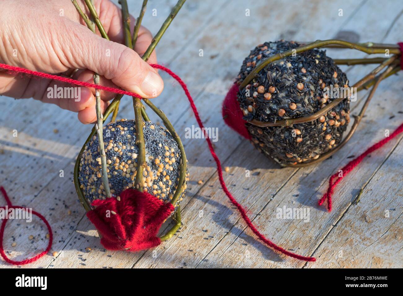 making a keeper vor a fat ball with willow twigs, wool and wire, series ...