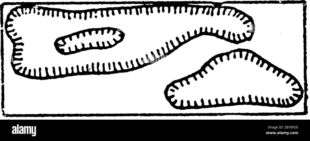 The representation of depression contours, vintage line drawing or ...