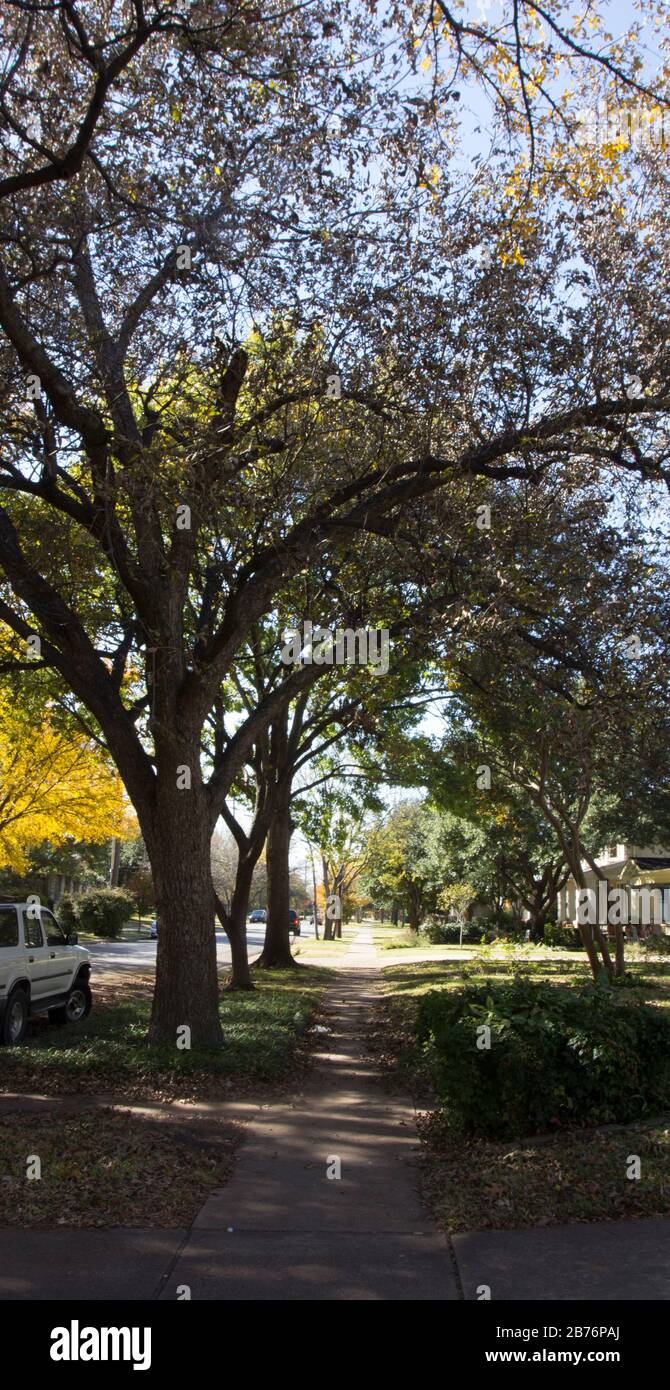 Swiss Avenue, Dallas, Texas Stock Photo - Alamy