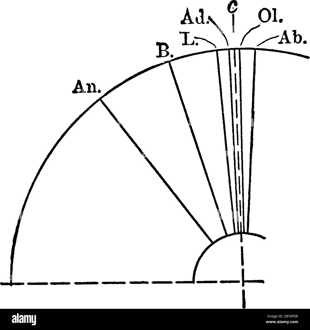 A typical representation of the, Extinction angles on the (001) faces ...