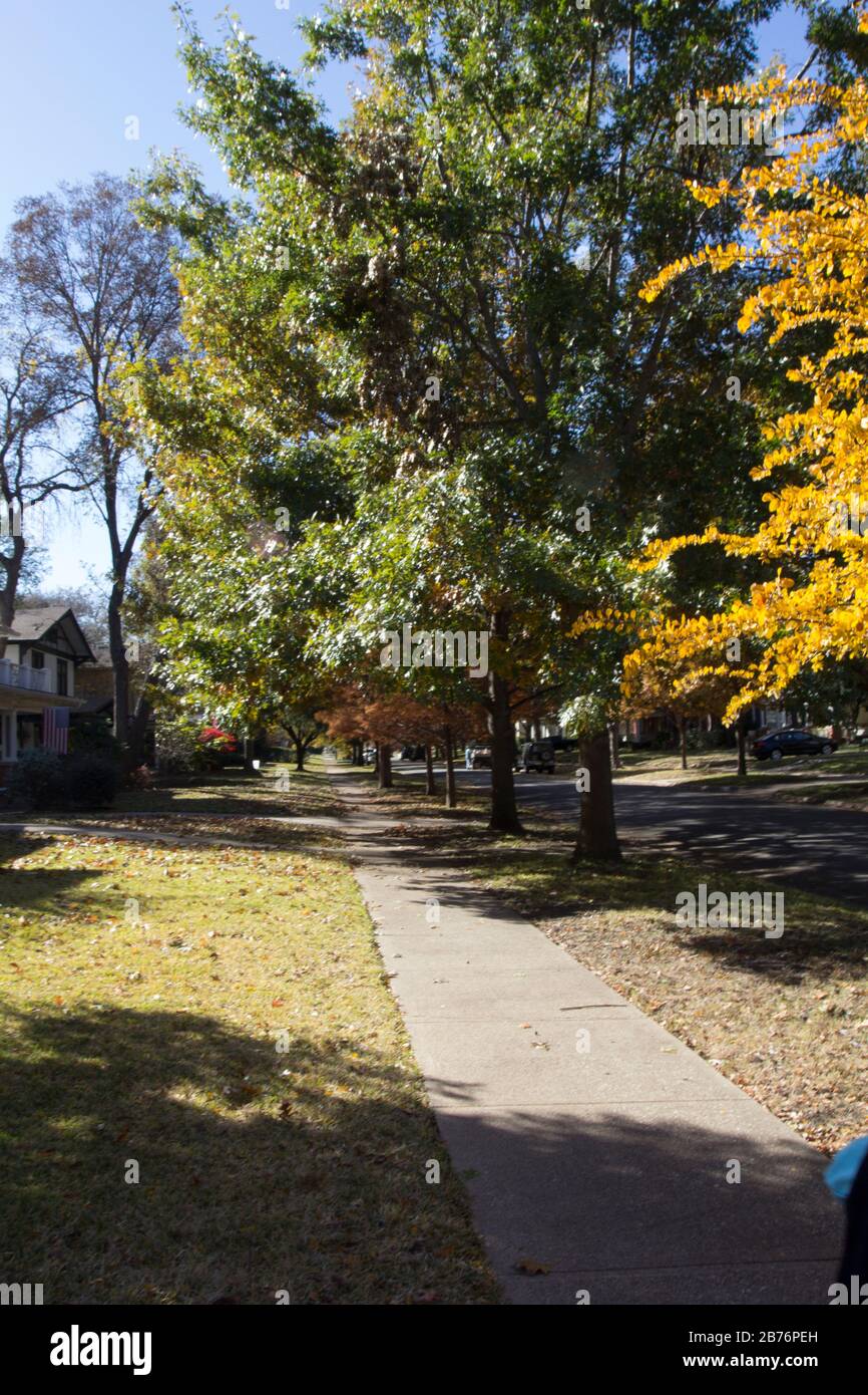 Swiss Avenue, Dallas, Texas Stock Photo - Alamy