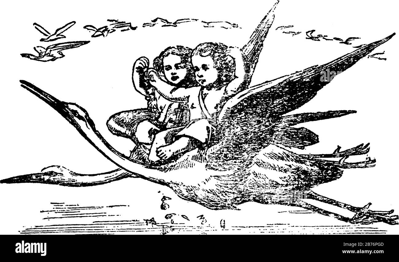 Two children riding on back of flying birds, vintage line drawing or ...