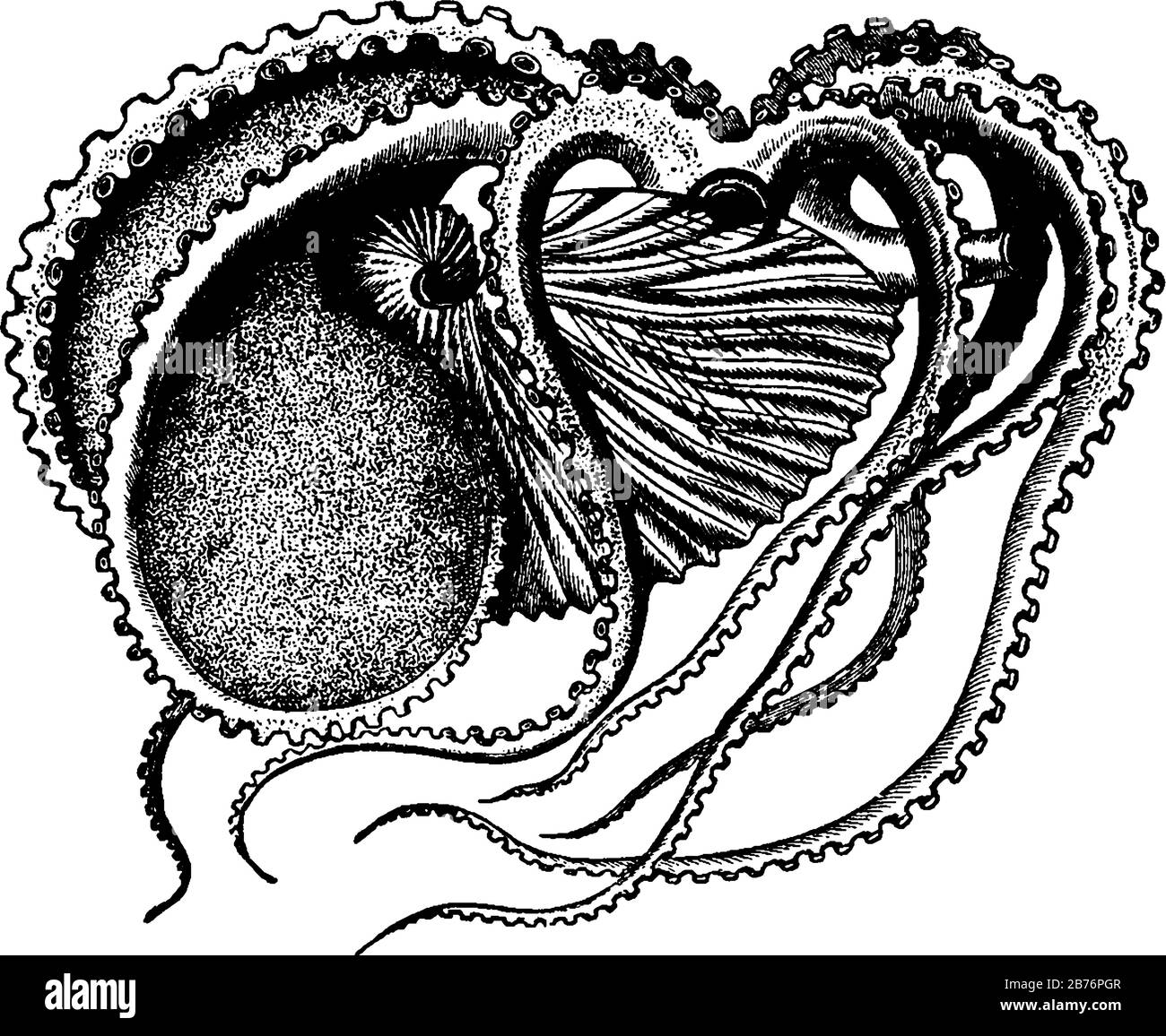 Name refers Black and White Stock Photos & Images - Alamy