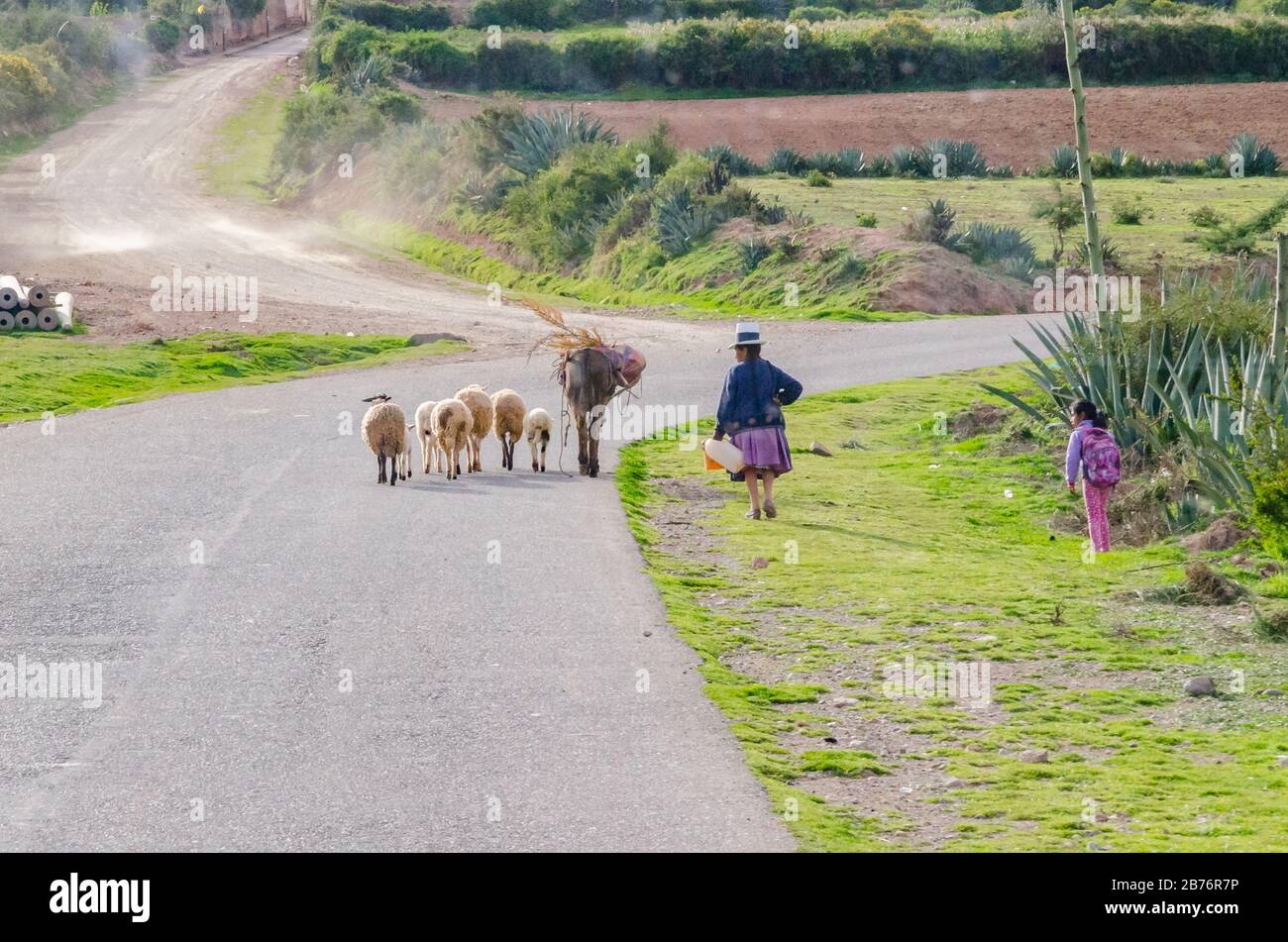 A Chola and his niece walking on a road with their goats and a donkey ...