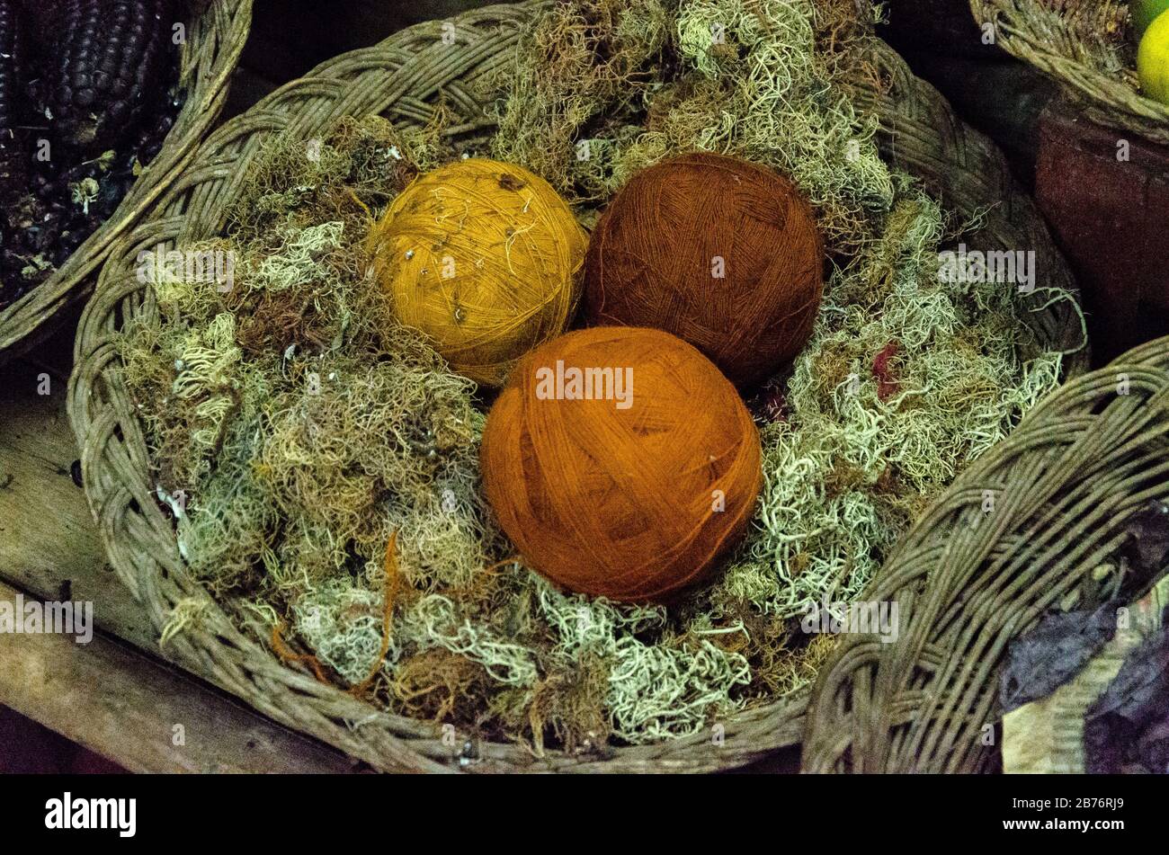 Plants used to dye wool in ocher colours, Chincheros, Peru Stock Photo ...