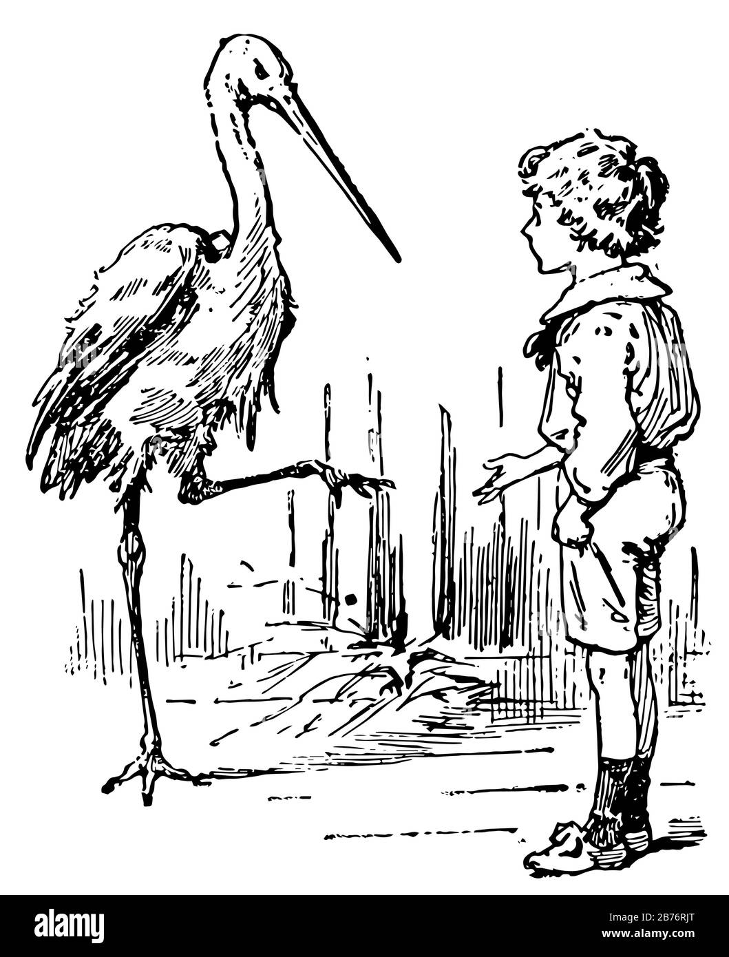 A little boy talking to stork bird, vintage line drawing or engraving ...