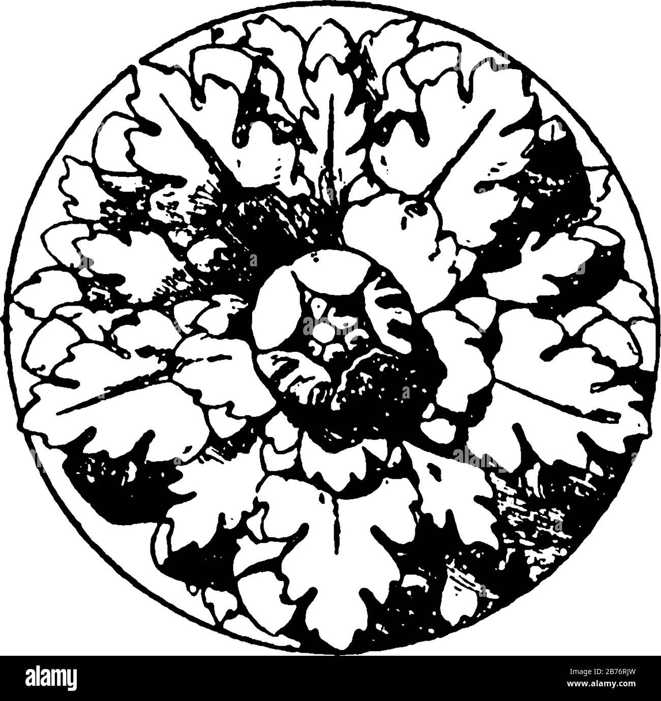 Ancient drawing a Cut Out Stock Images & Pictures - Alamy