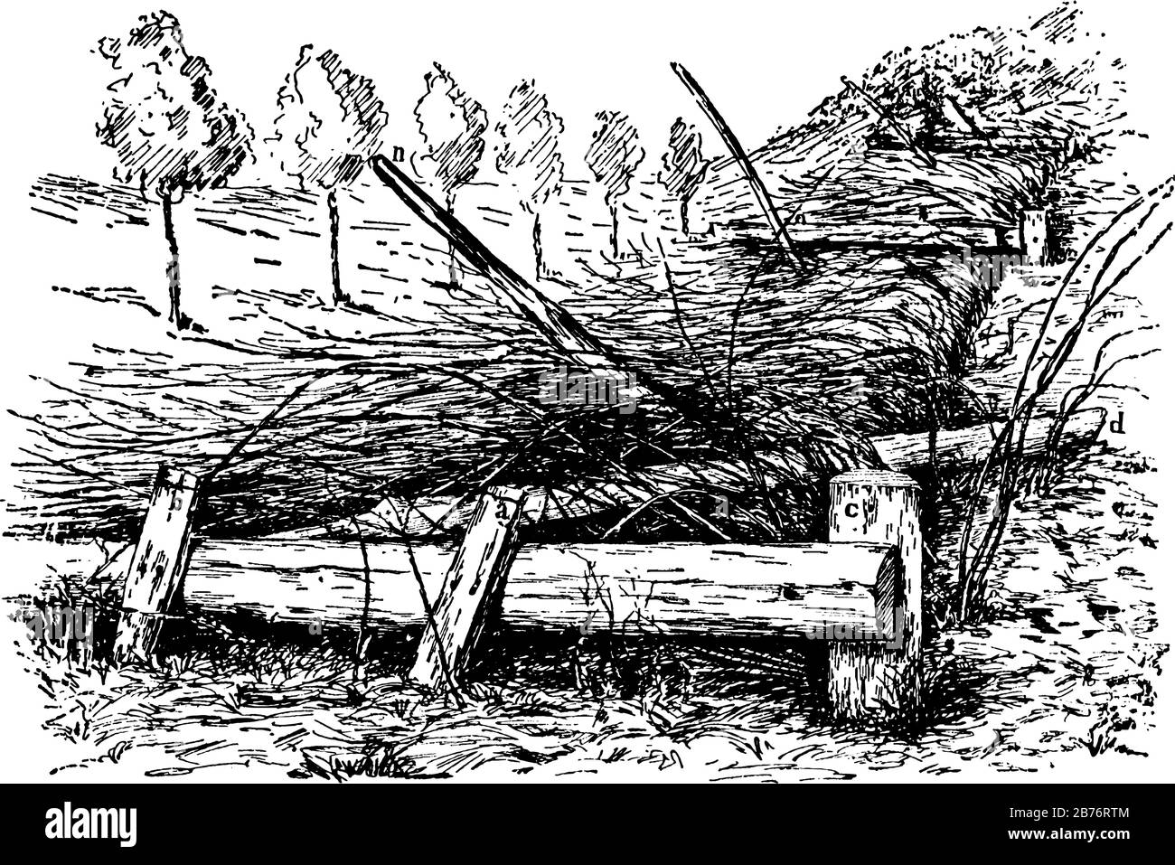 This illustration represents Trellis which is an architectural ...