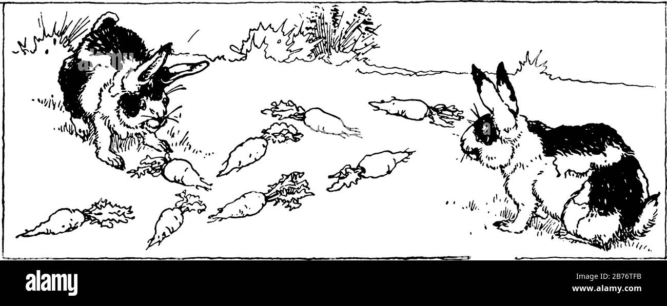 The picture depicts two rabbits and 8 carrots that can be used to write ...