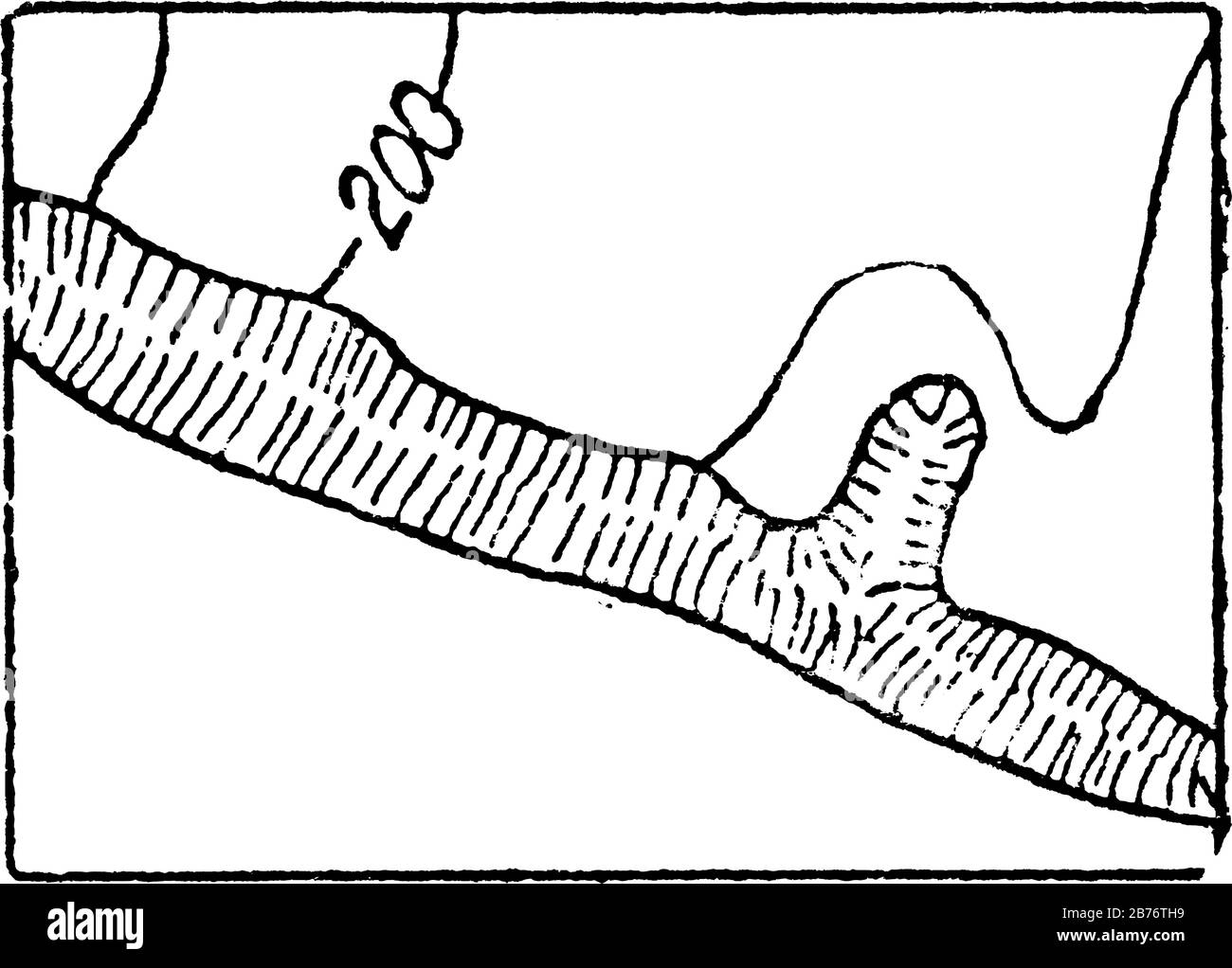 The representation of the bluffs other than rocky, on a topographical ...