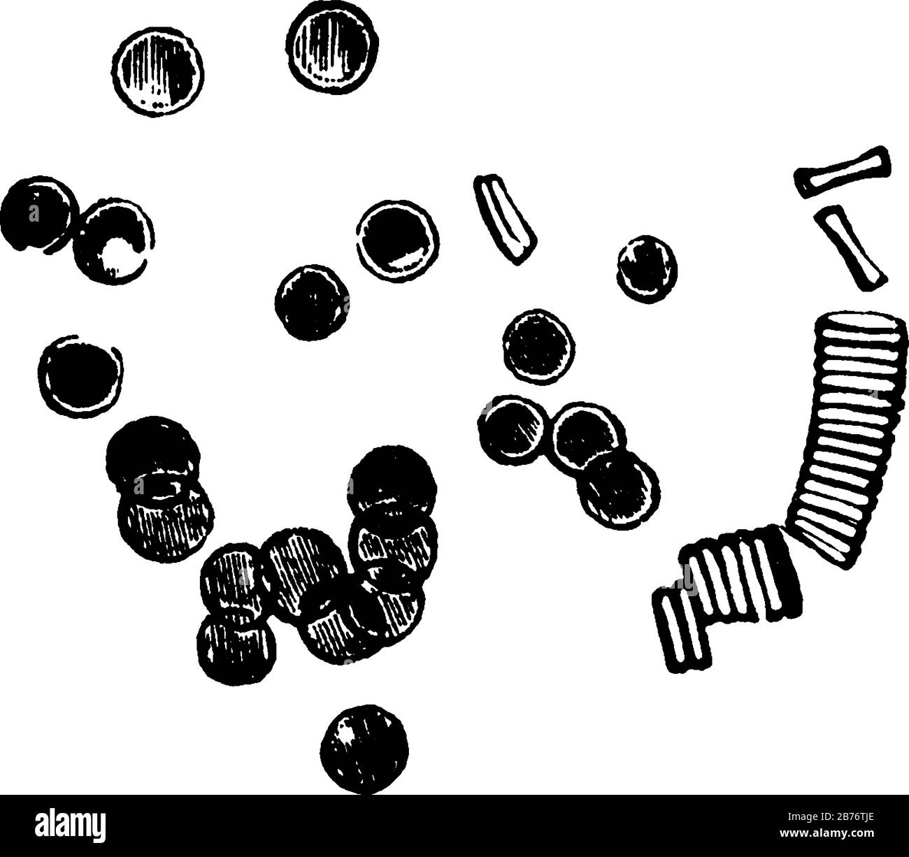 Red blood vector Black and White Stock Photos & Images - Alamy