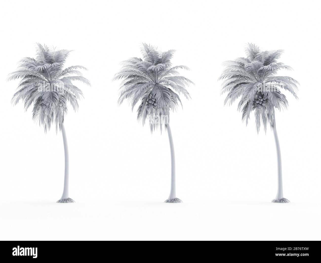 Palm tree illustration hi-res stock photography and images - Alamy