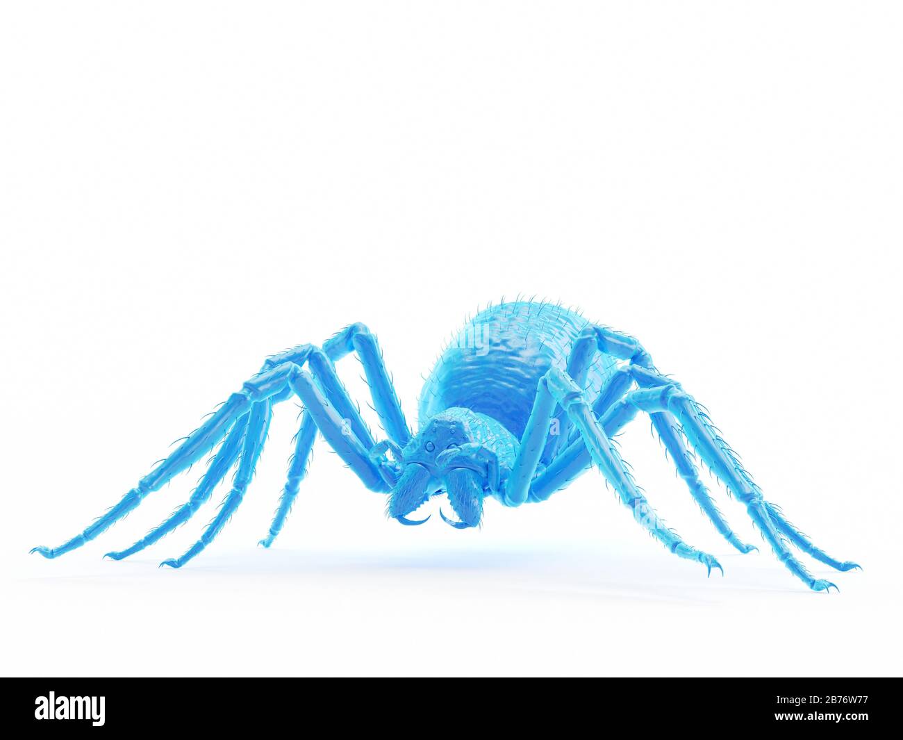 Spider, computer illustration Stock Photo - Alamy