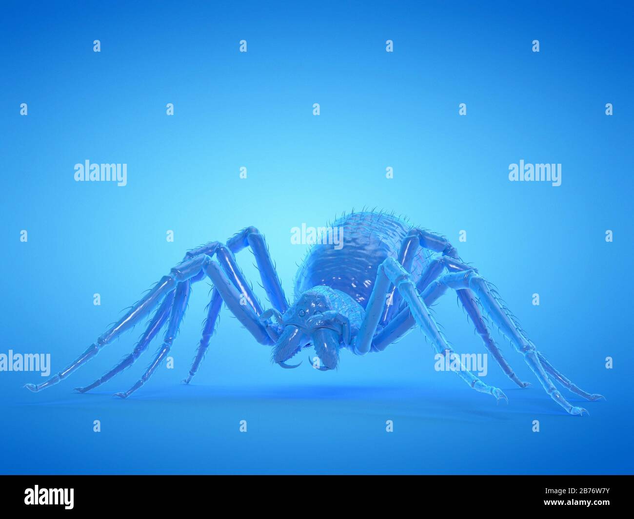 Spider, computer illustration Stock Photo - Alamy
