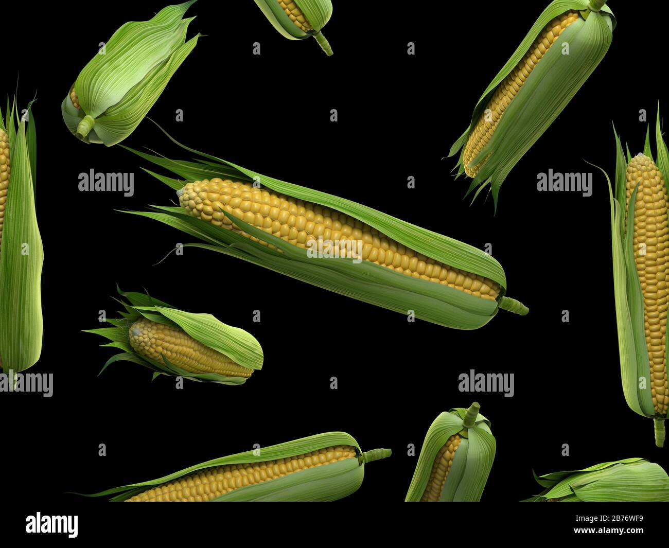 Corn on the cob, computer illustration Stock Photo - Alamy