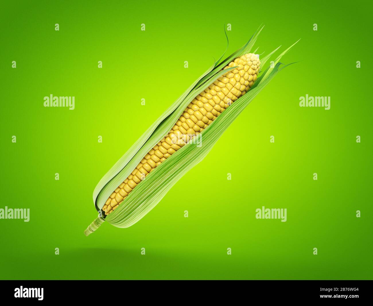 Corn on the cob, computer illustration Stock Photo - Alamy