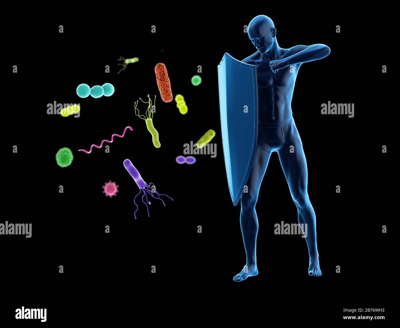 Immune system, conceptual computer illustration Stock Photo - Alamy