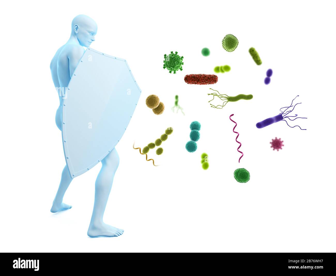 Immune system, conceptual computer illustration Stock Photo - Alamy