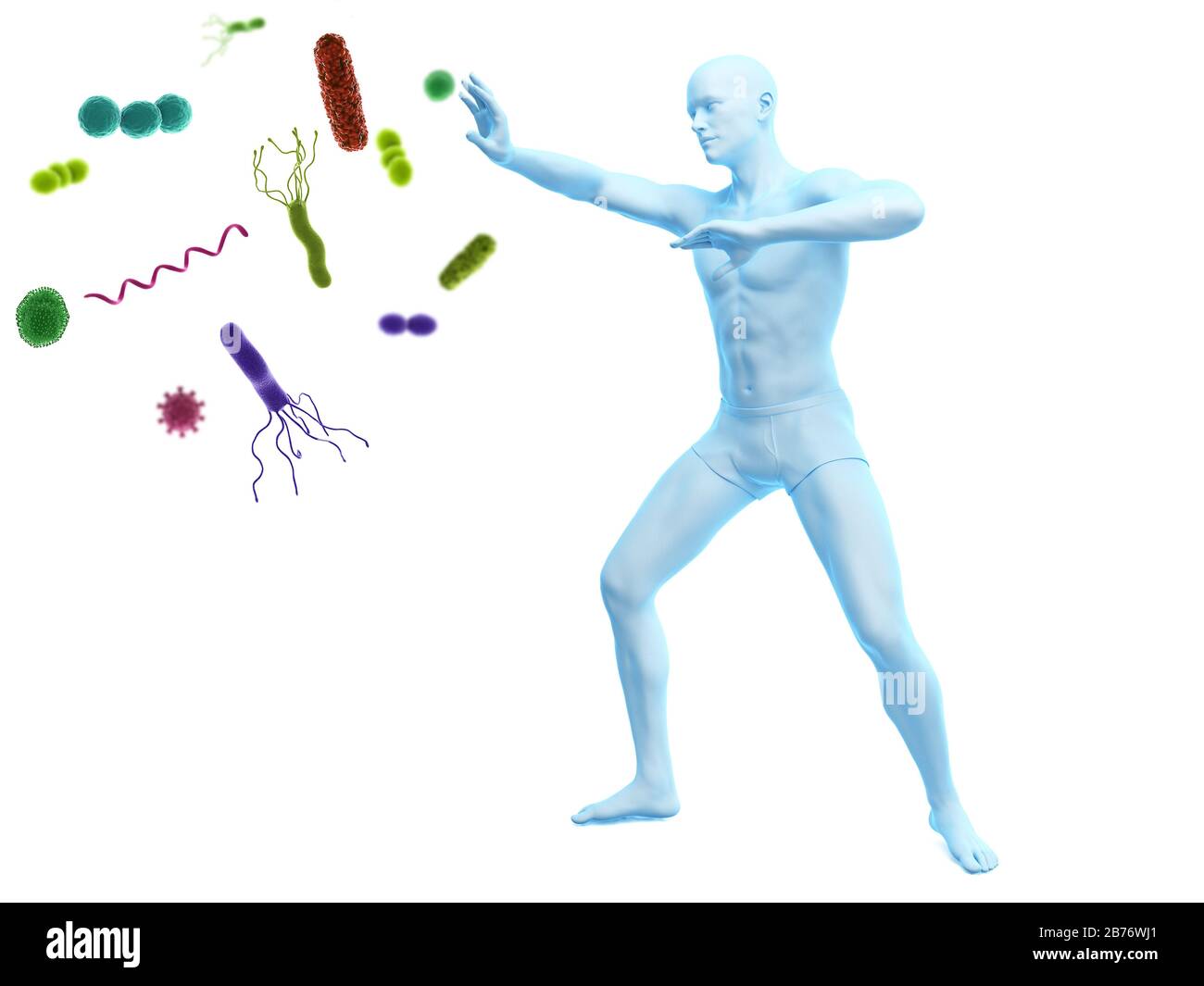 Immune system, conceptual computer illustration Stock Photo - Alamy