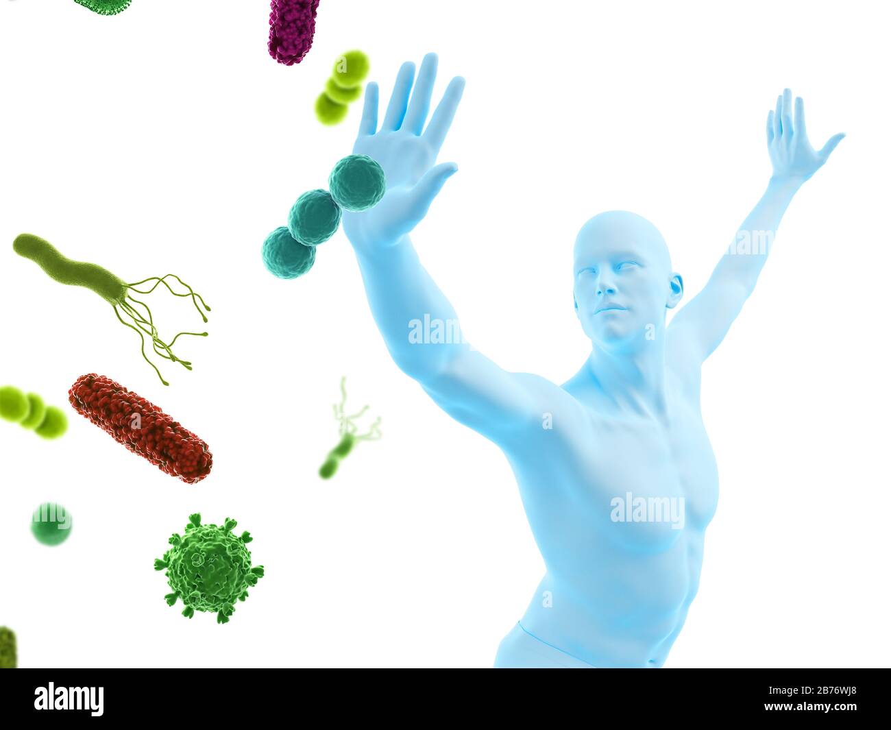 Immune system, conceptual computer illustration Stock Photo - Alamy