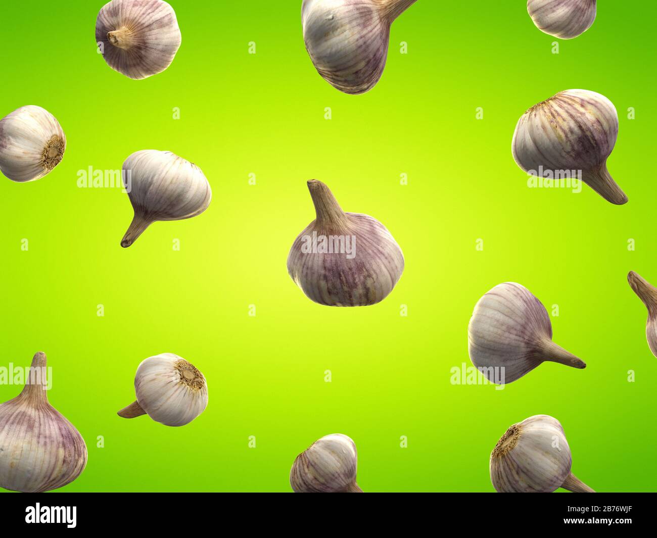 Garlic, computer illustration Stock Photo - Alamy