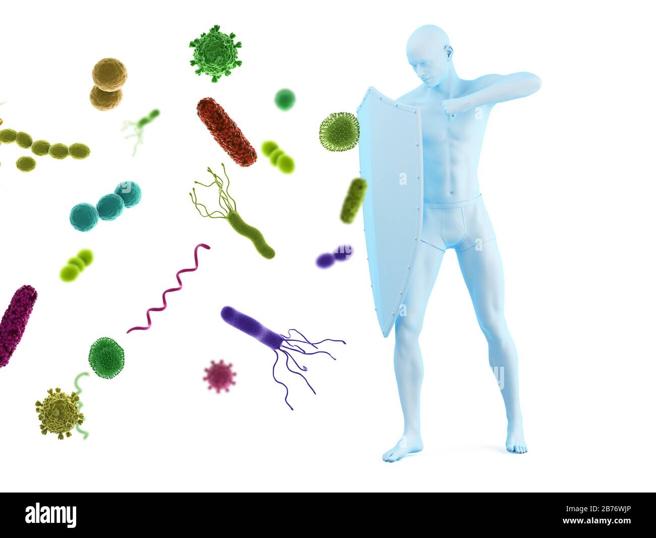 Immune system, conceptual computer illustration Stock Photo - Alamy