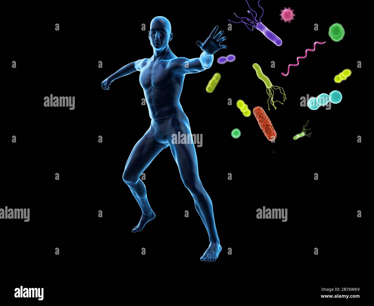 Immune system, conceptual computer illustration Stock Photo - Alamy